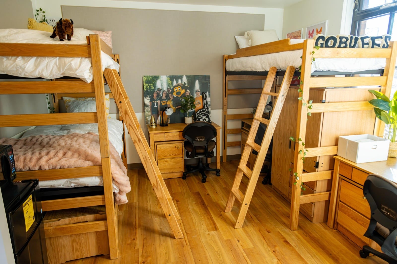 Farrand Hall | Housing & Dining | University of Colorado Boulder